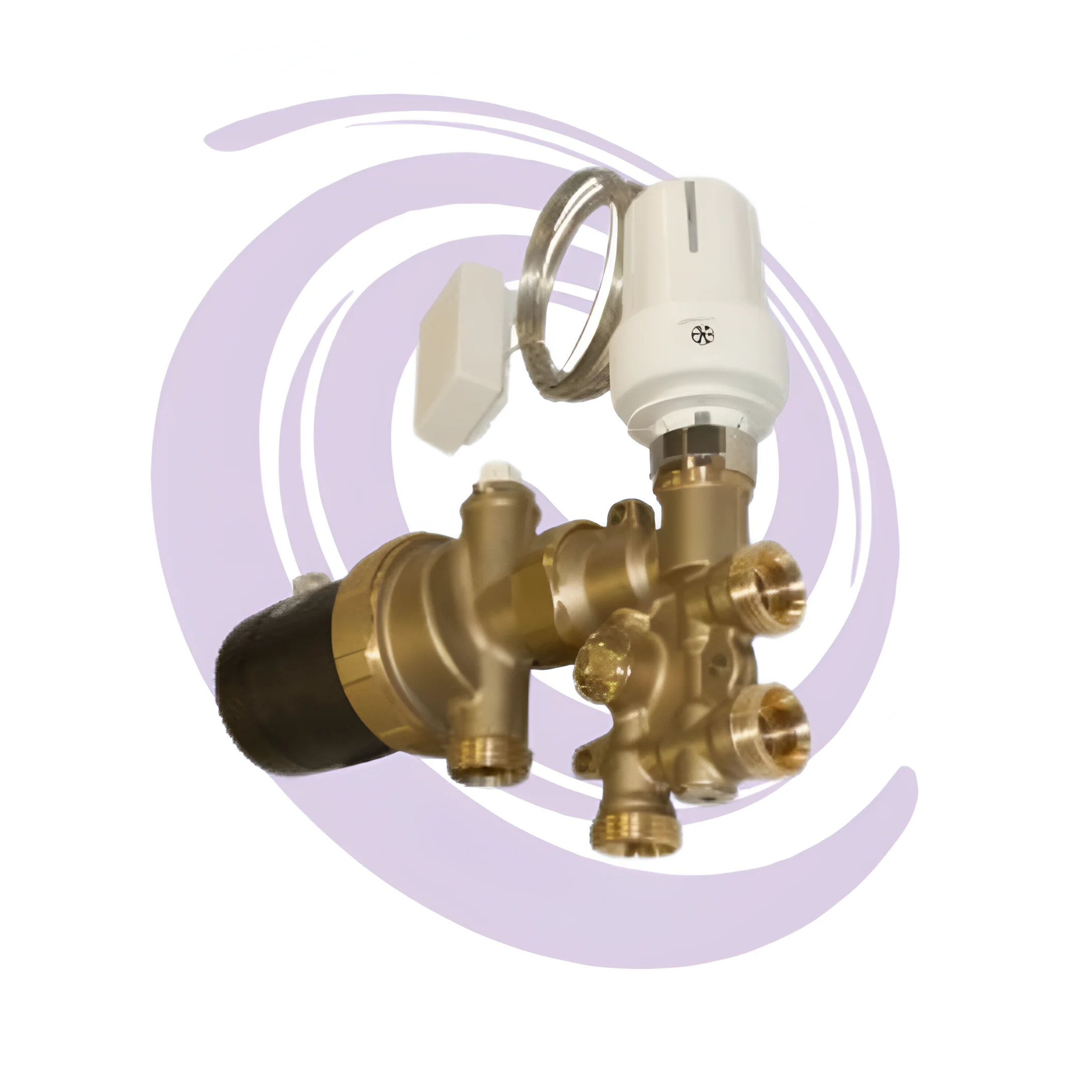 Distributeur Pompes industrielles LOWARA